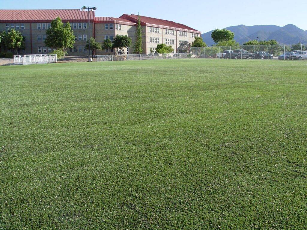 Artificial Grass and Turf Photo Gallery | Tucson Turf